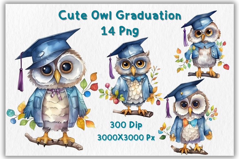 Cute Owl Graduation Watercolorclipart, Sublimation Watercolor, Owl ...
