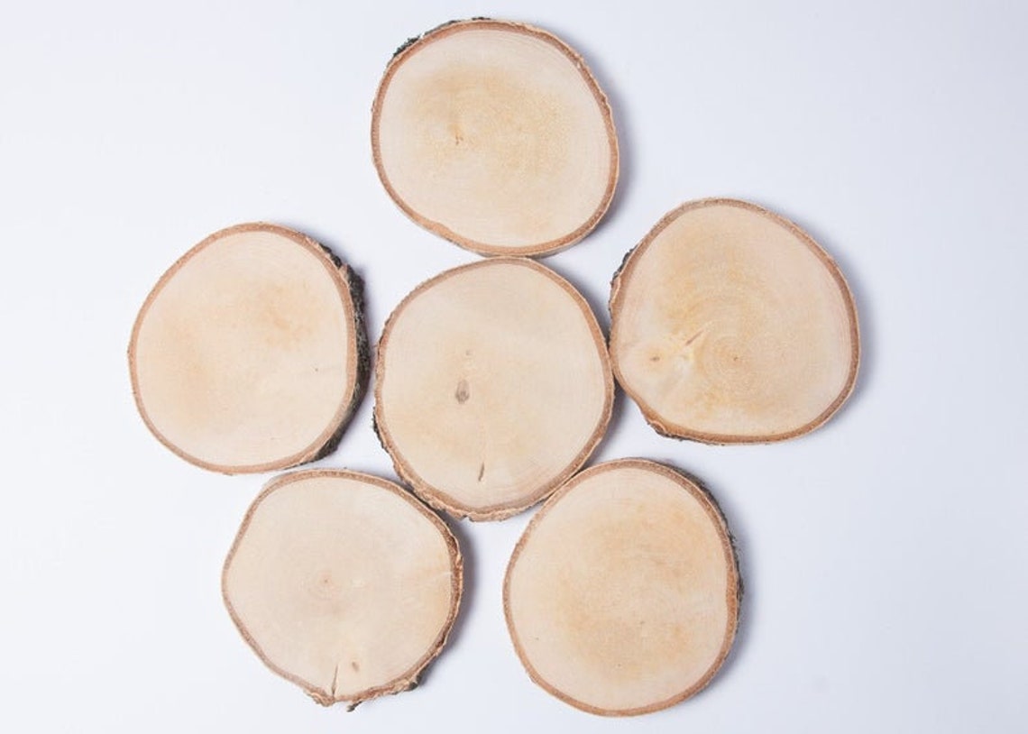 40 Birch Wood Slices 3 4 Rustic Wedding Decors - Etsy