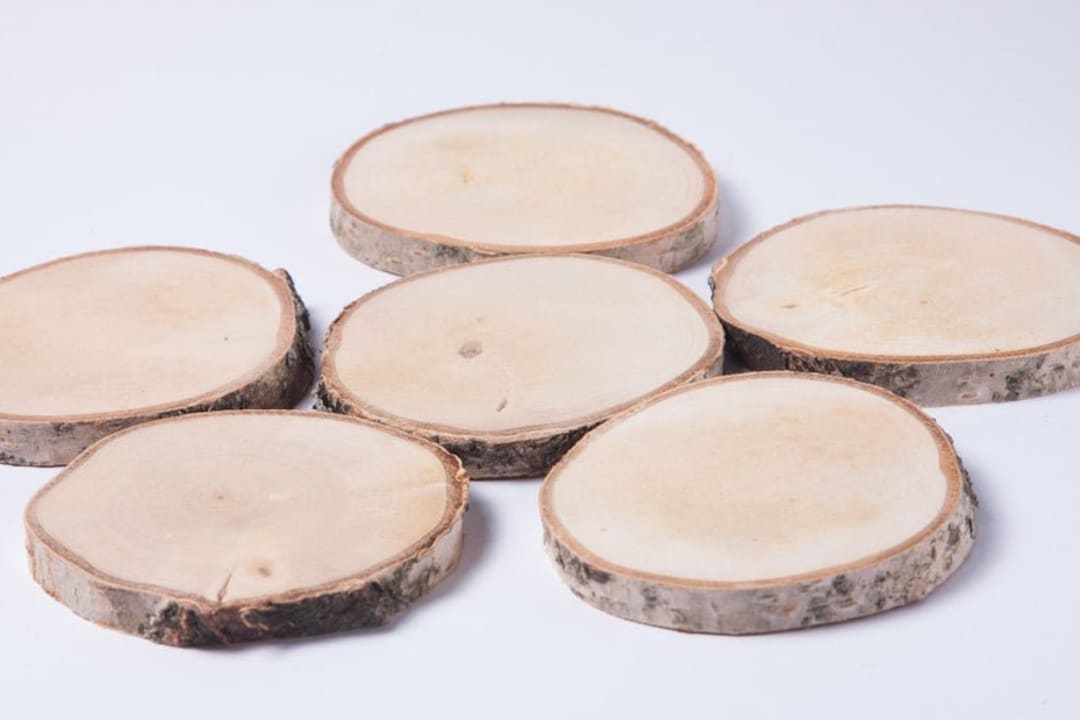 40 Birch Wood Slices 3"- 4" , Rustic Wedding Decors, Wood Slice With ...