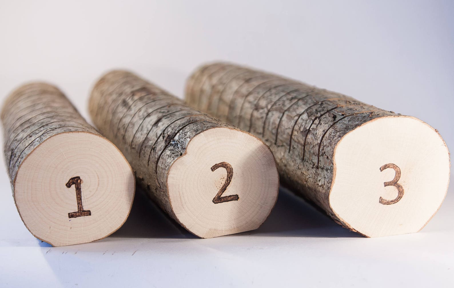 3 Pcs Log Place Card Holders Rustic Wedding Decor Guest Card - Etsy