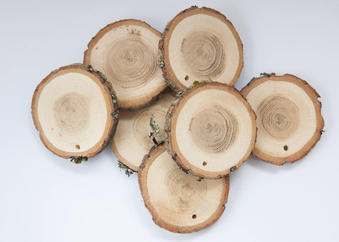 60 Name Tags Slices, Oak Slices, Christmas Tags Slices, Rustic Wedding ...