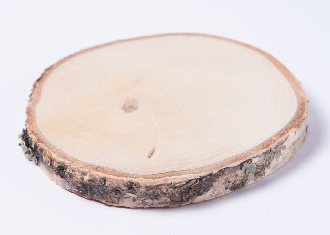 40 Birch Wood Slices 3 4 Rustic Wedding Decors - Etsy
