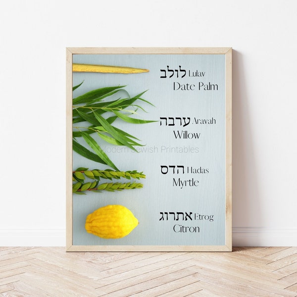 Sukkah - Etsy
