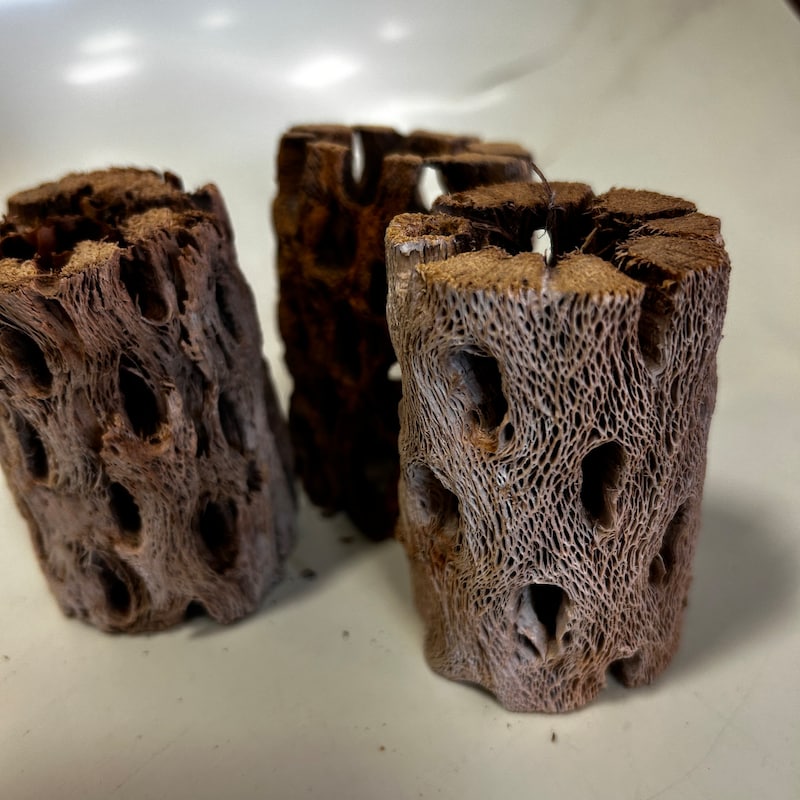 Cholla Wood - Etsy