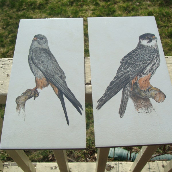 Bird Tile - Etsy
