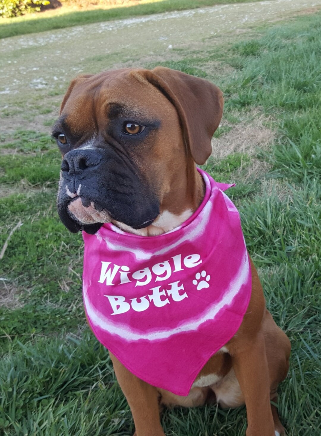Wiggle Butt Boxer (or Any Breed) Dog Fabric or Outdoor Decal Only - Etsy