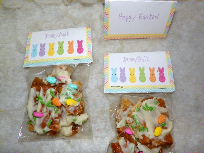 Easter bunny Bait Printable Bag Topperpartyfavor - Etsy