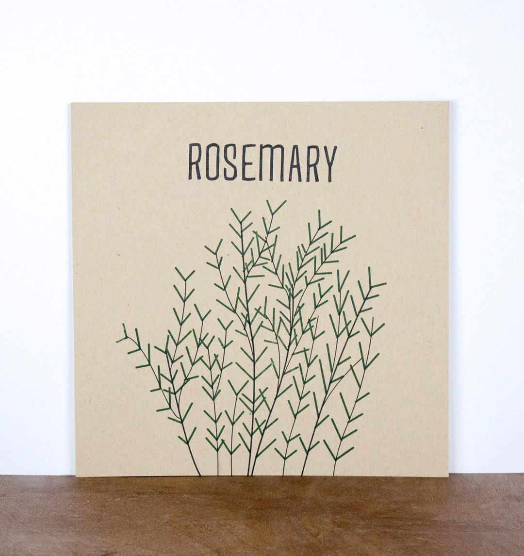 Rosemary Kitchen Letterpress Print - 8" X 8" - Etsy