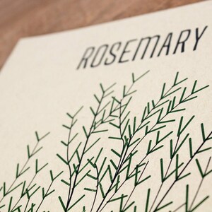 Rosemary Kitchen Letterpress Print - 8" X 8" - Etsy