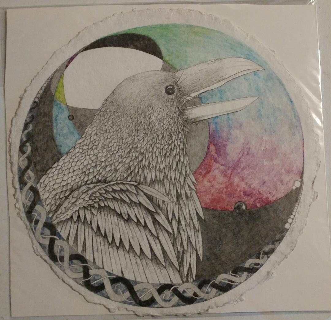 White Raven Art: Graphite & Watercolor Pencil Drawing - Etsy