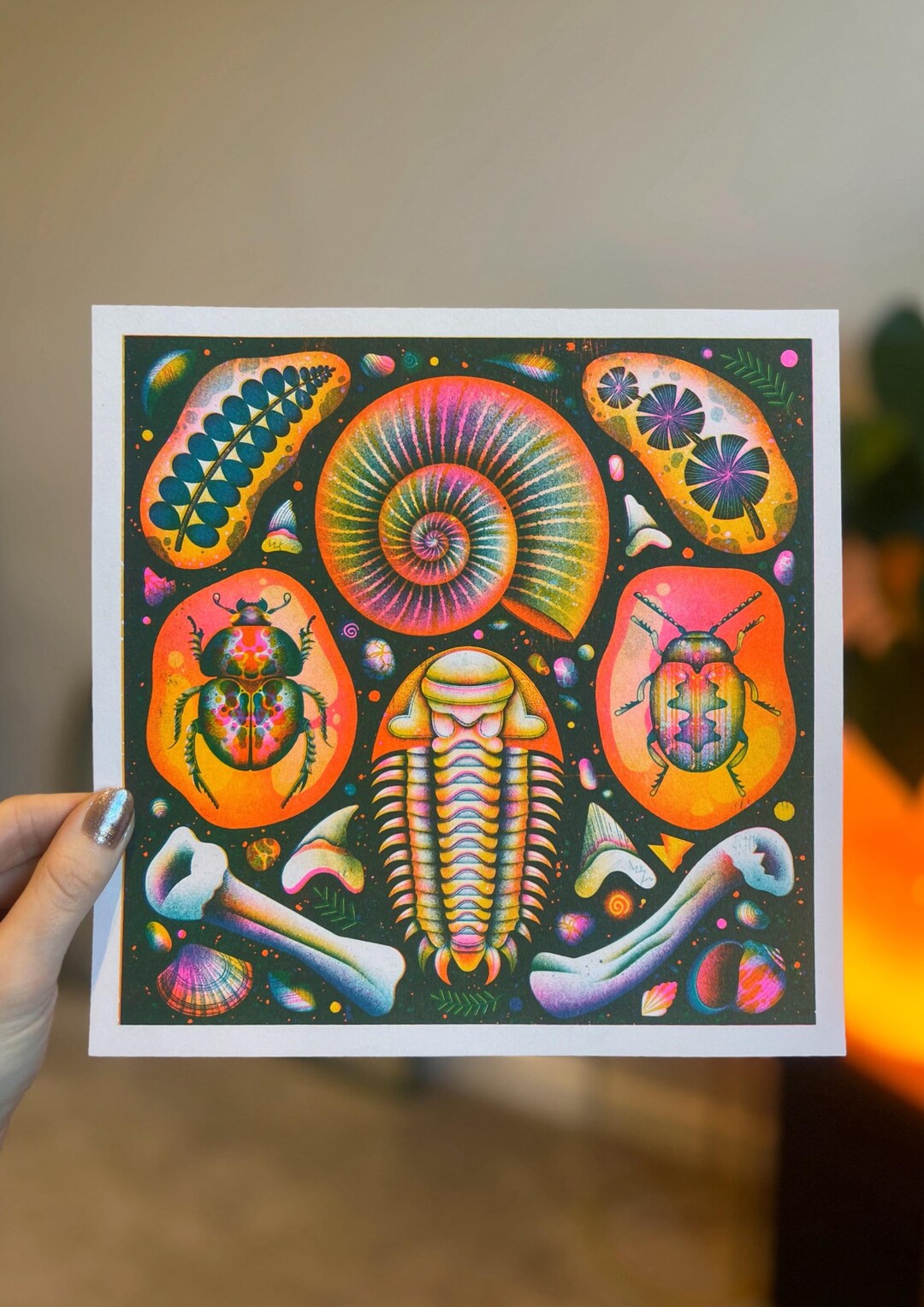Shells and Fossil - Risograph Prints 2nd Edition - Etsy