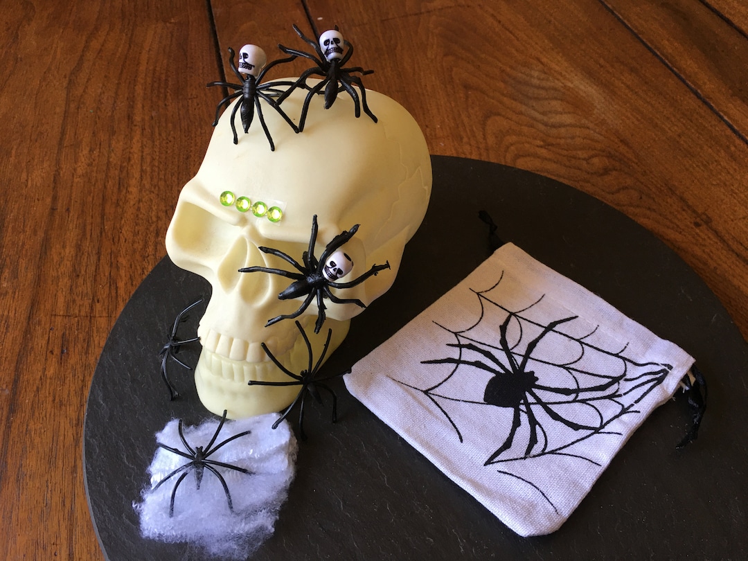 CLEARANCE 6 Creepy Silly Spider Starter Kit DIY Crystal Skull Black ...