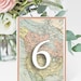 Travel Map Wedding Table Numbers Digital 1 to 22 Travel Theme Wedding ...