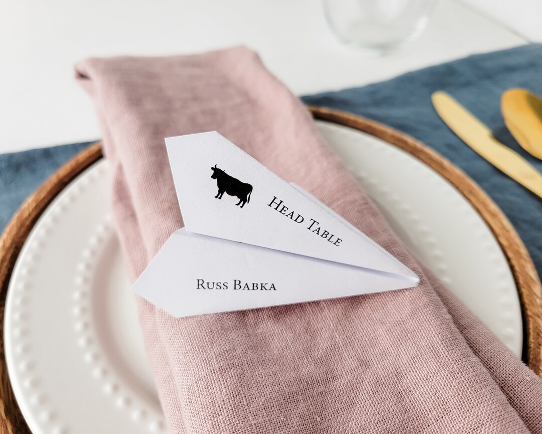 Airplane Seating Cards - DIY Digitial Download - I Design You Print ...