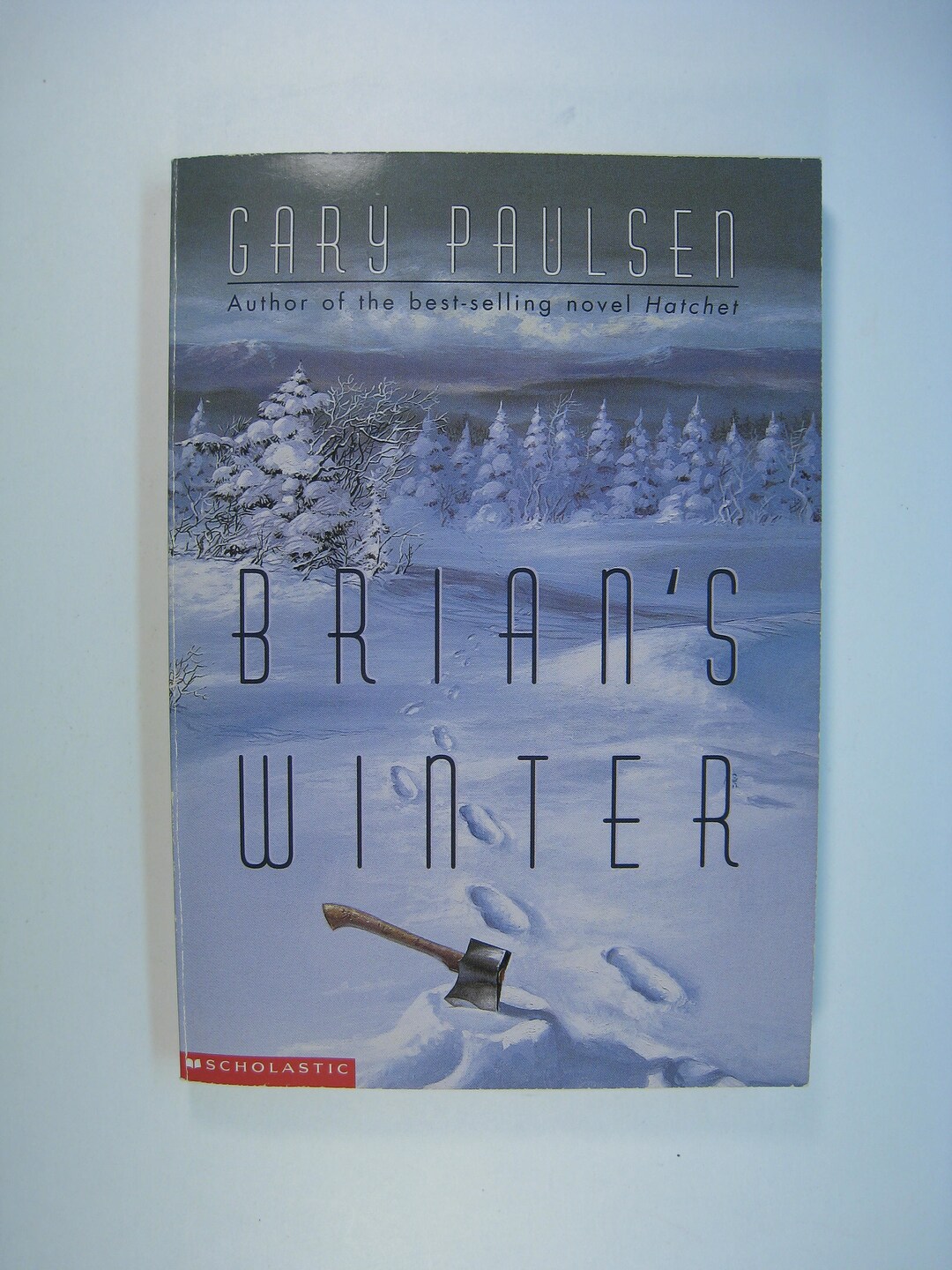BRIAN'S WINTER, Gary Paulsen, 1998 Near Fine Large Trade Paperback - Etsy