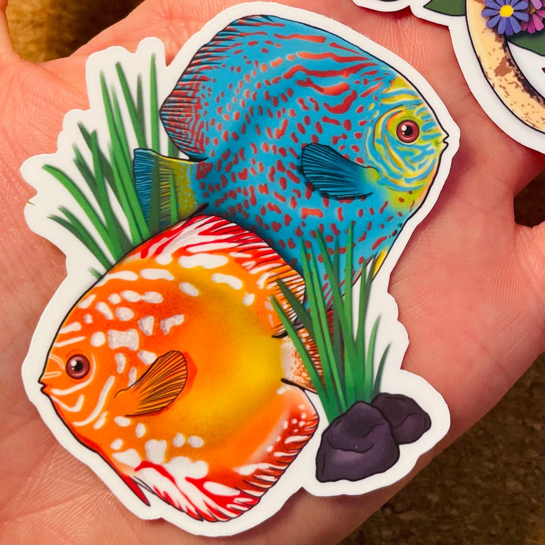 Discus Freshwater Cichlid Fish / Symphysodon - Vinyl Waterproof Sticker ...