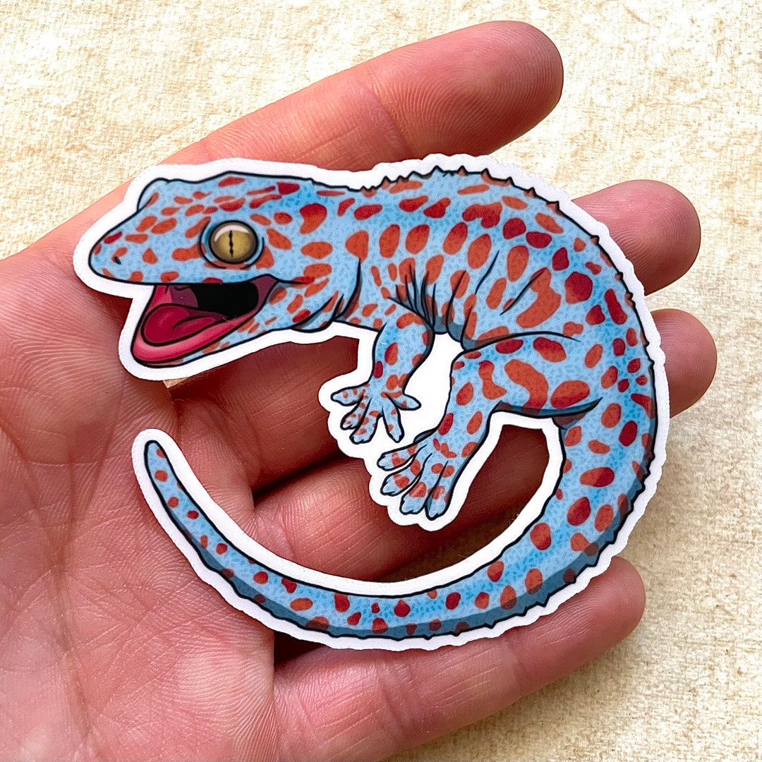 Tokay Gecko - Vinyl Waterproof Sticker / Decal - Etsy