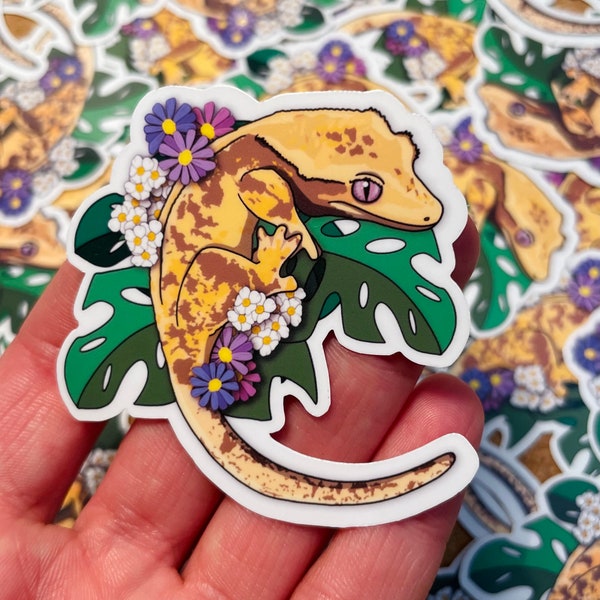 Crested Gecko - Etsy