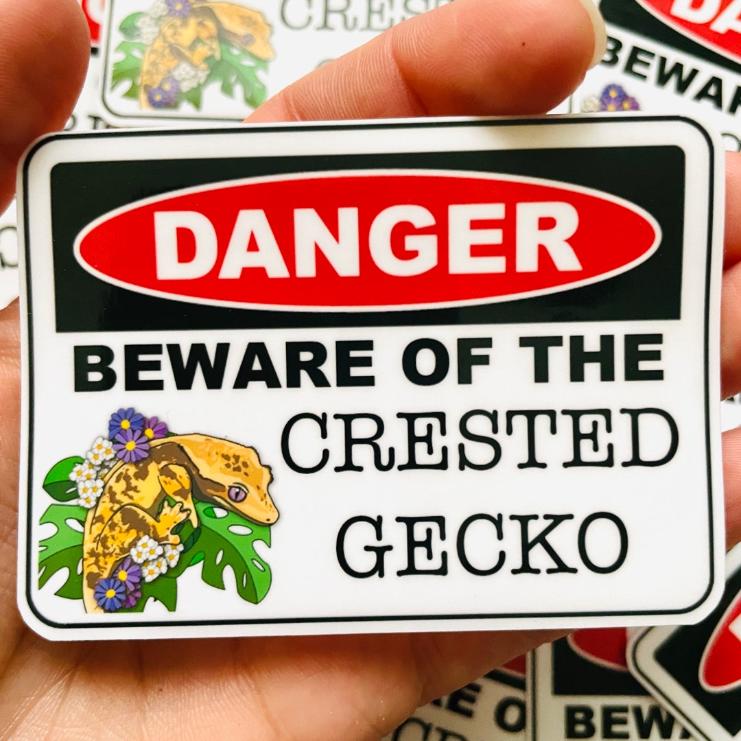 Danger Beware Crested Gecko Lizard Vinyl Waterproof Sticker / Decal ...