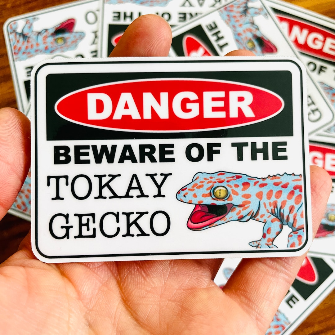 Danger Beware of the Tokay Gecko Lizard - Vinyl Waterproof Sticker ...