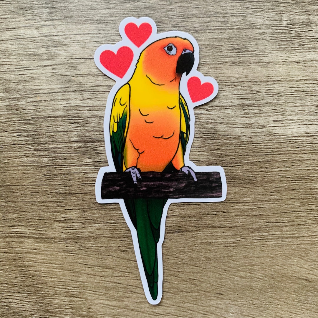 Sun Conure Bird / Parrot Vinyl Waterproof Sticker / Decal - Etsy