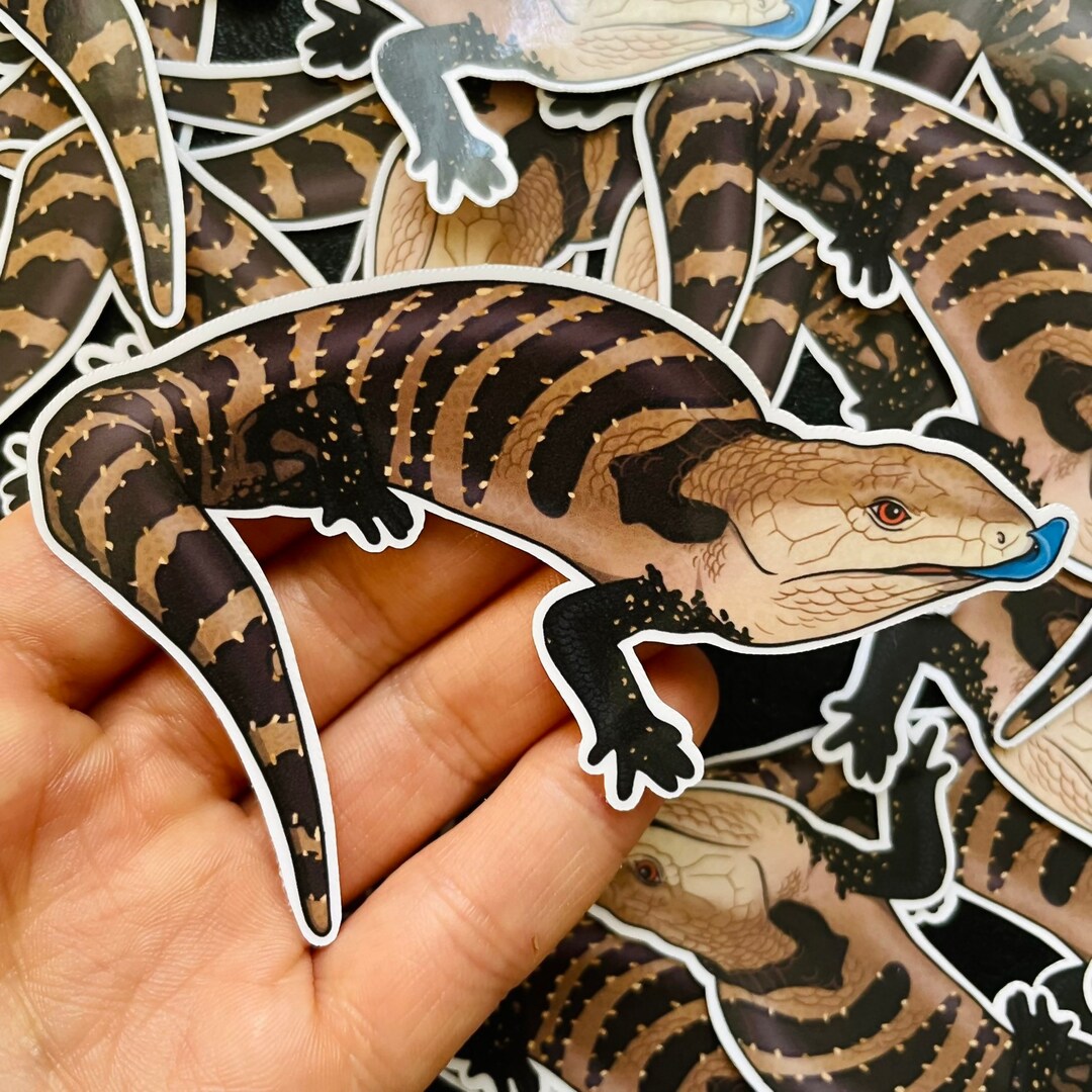 Blue Tongue Skink Lizard Vinyl Waterproof Sticker / Decal - Etsy