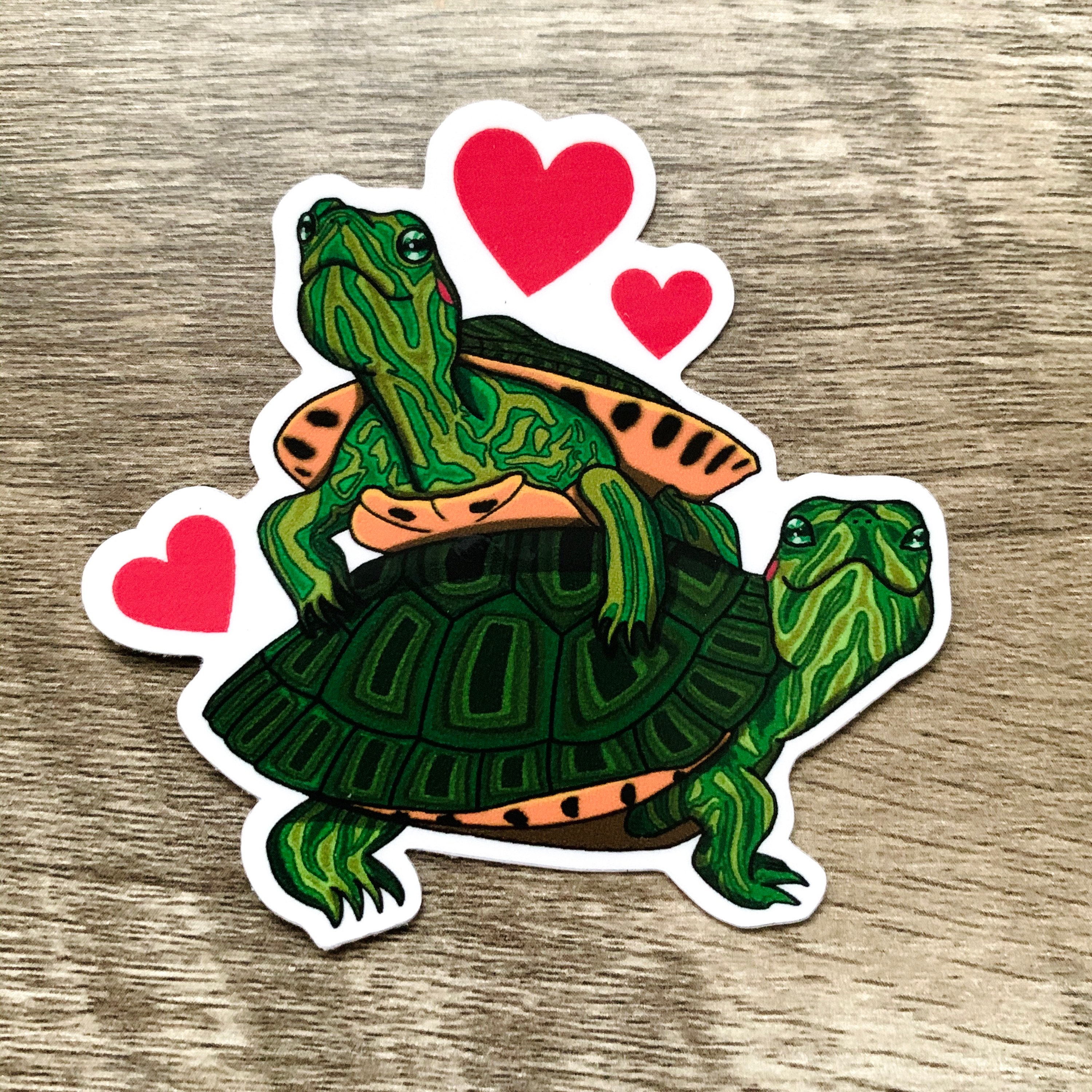 Turtle / Turtles / Red Ear Slider / Yellow Belly / Cooter - Vinyl ...