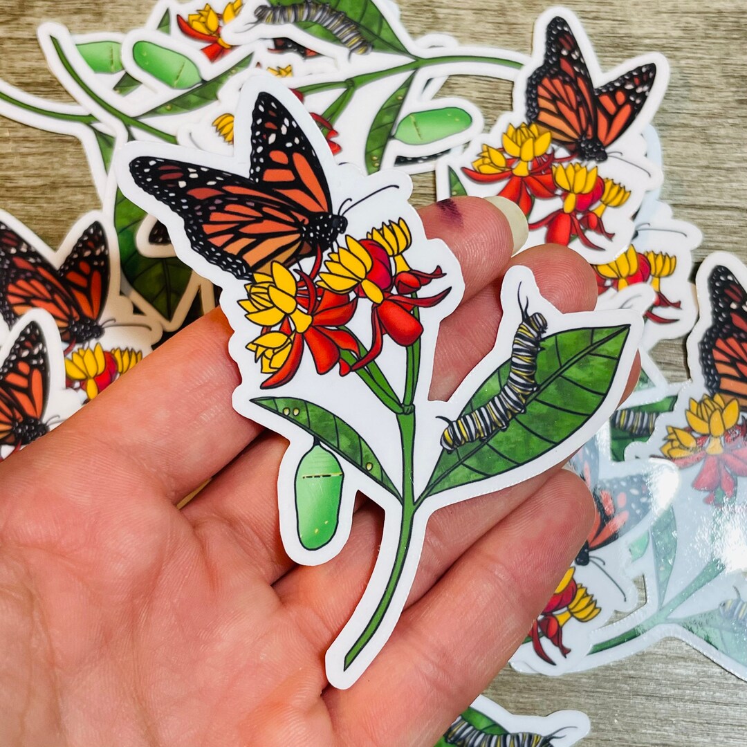 Monarch Butterfly / Milkweed / Chrysalis / Life Cycle Vinyl Waterproof ...