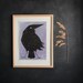POSTER RAVEN CROW A3/A4 - Etsy