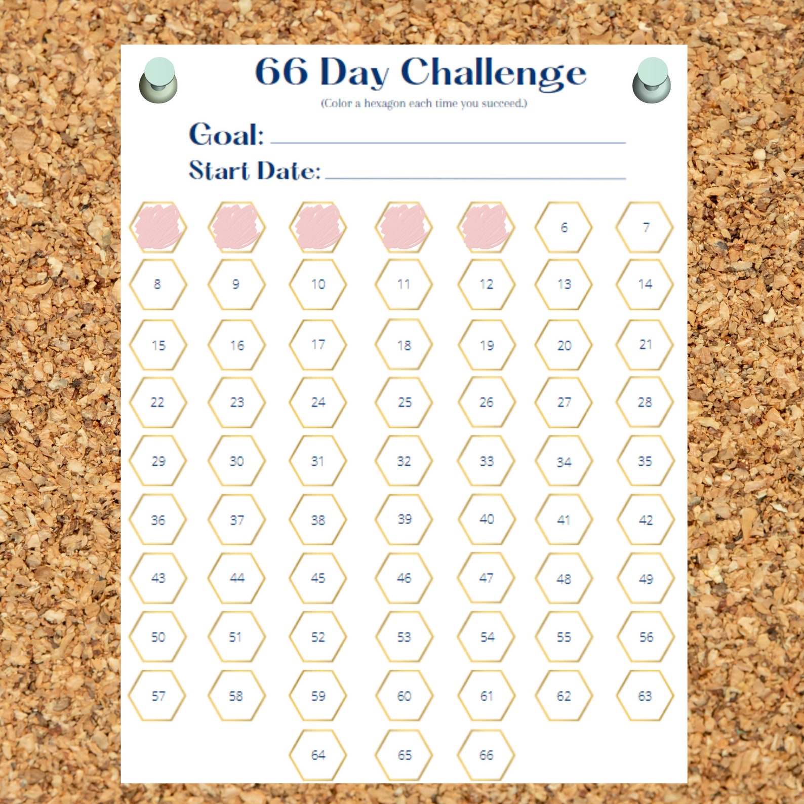 66 Day Habit Tracker Activity Chart Printable Progress - Etsy Canada