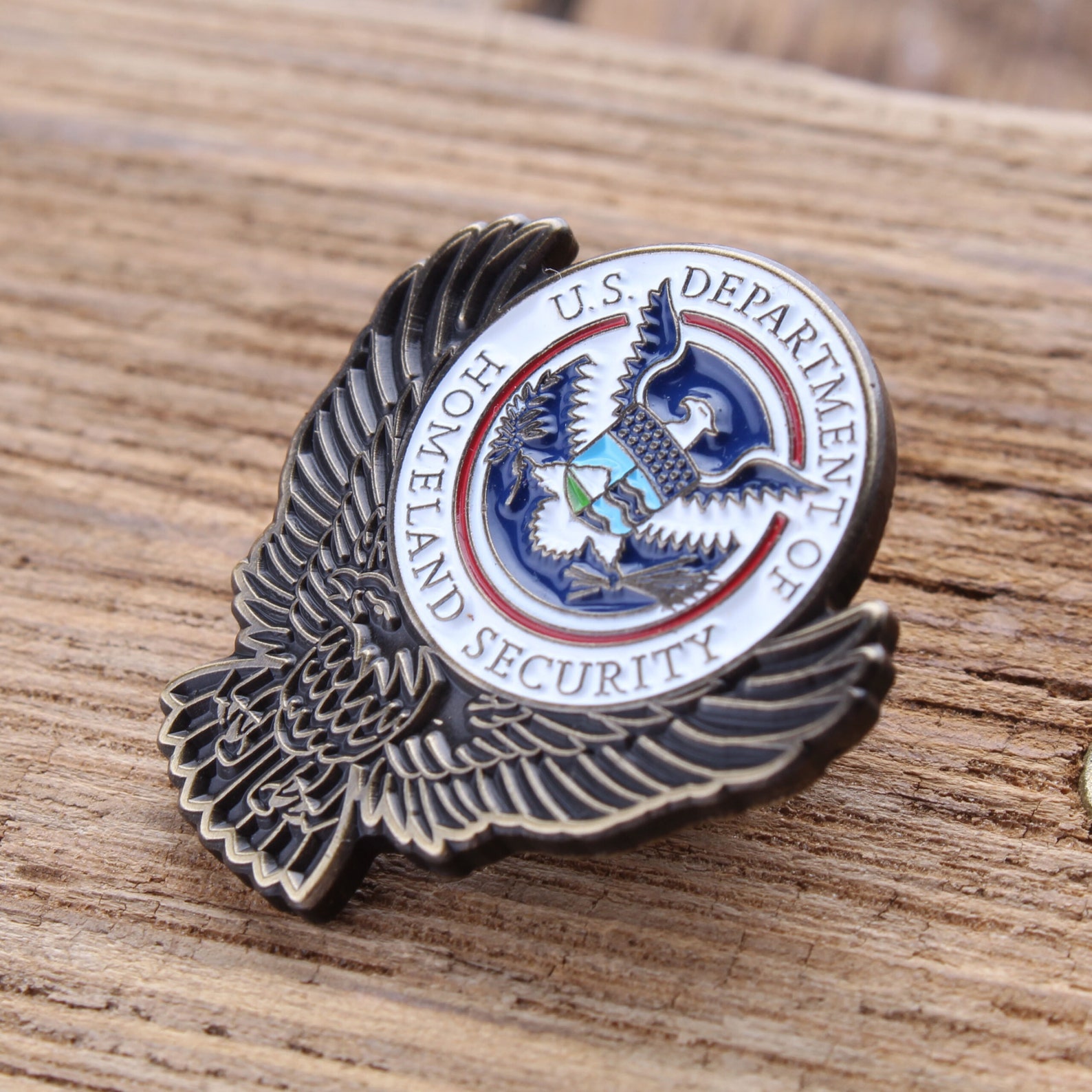 Department of Homeland Security DHS Lapel Pin | Etsy