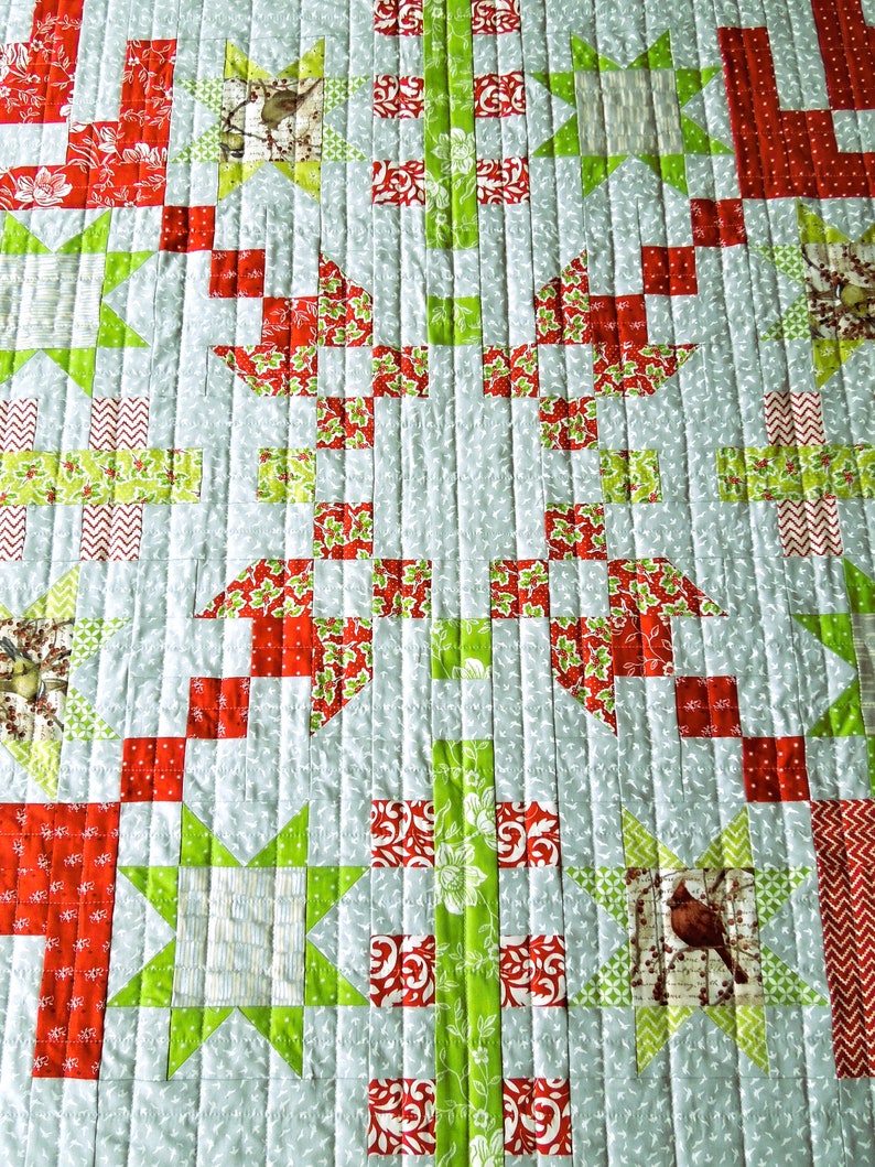 Mystery Snowflake is a Quilted Throw Displaying a Snowflake in Various ...