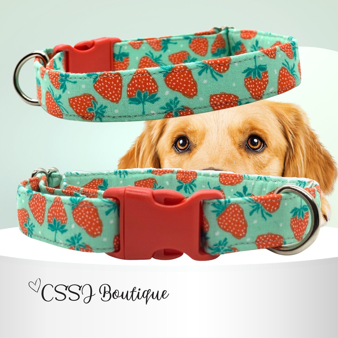 Handmade Strawberry Print Dog Collar – 70s Style Pet Collar - Etsy