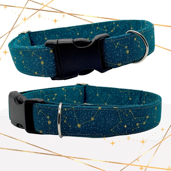 Zodiac dog collar 60 photos - Astrologytoyou.com