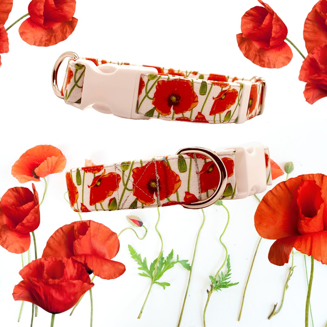 Spring/ Flowers/ Nature/ Red/ Poppy /Beauty/ Elegance Multiple sizes ...