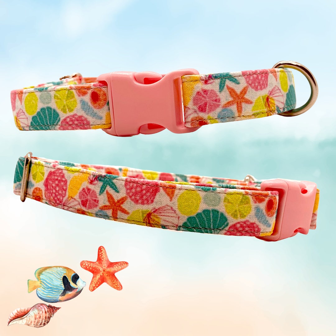 Ocean / Sea / Summer / Summertime / Fish / Seashell / Spring / Water ...