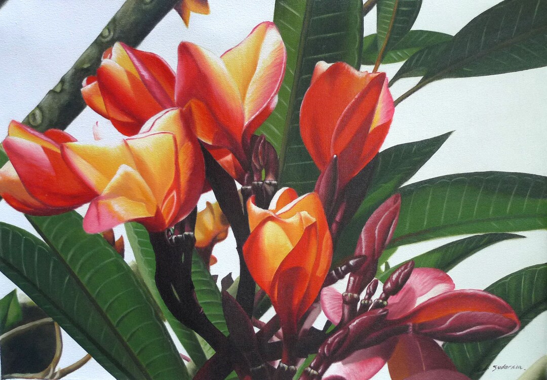 Hand Painting Balinese Bali Flower Great Colours 168 - Etsy