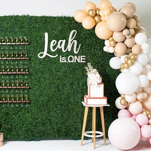 First Birthday Party Sign for Photo Wall, First Birthday Baby Name Sign ...