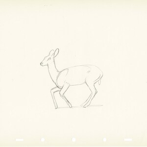 Walt Disney Rough Production Animation Cel Drawing or Study of a Deer ...