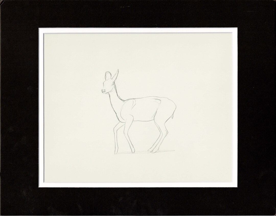 Walt Disney Rough Production Animation Cel Drawing or Study of a Deer ...