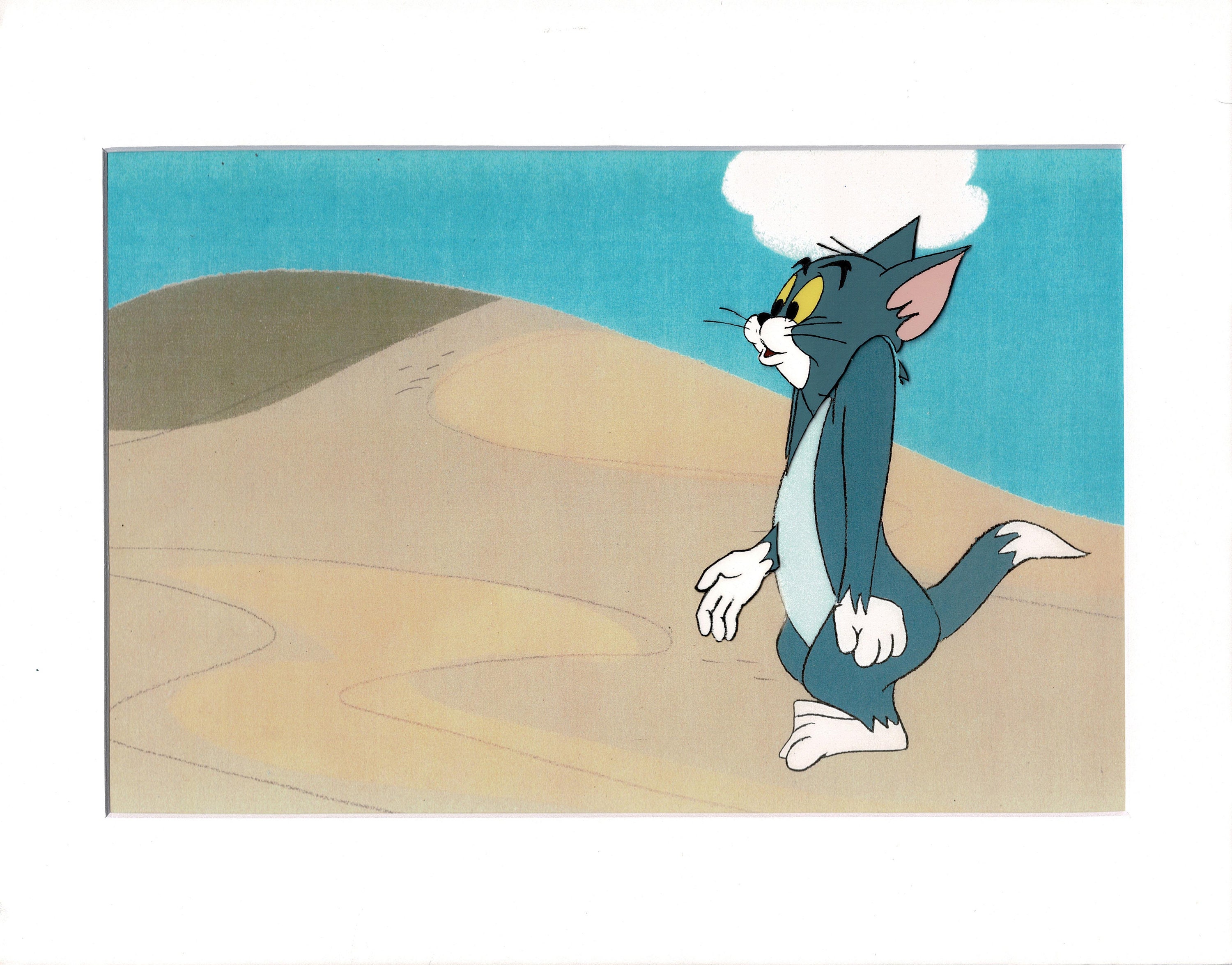 Tom & Jerry Original Production Animation Cel From Filmation - Etsy Denmark