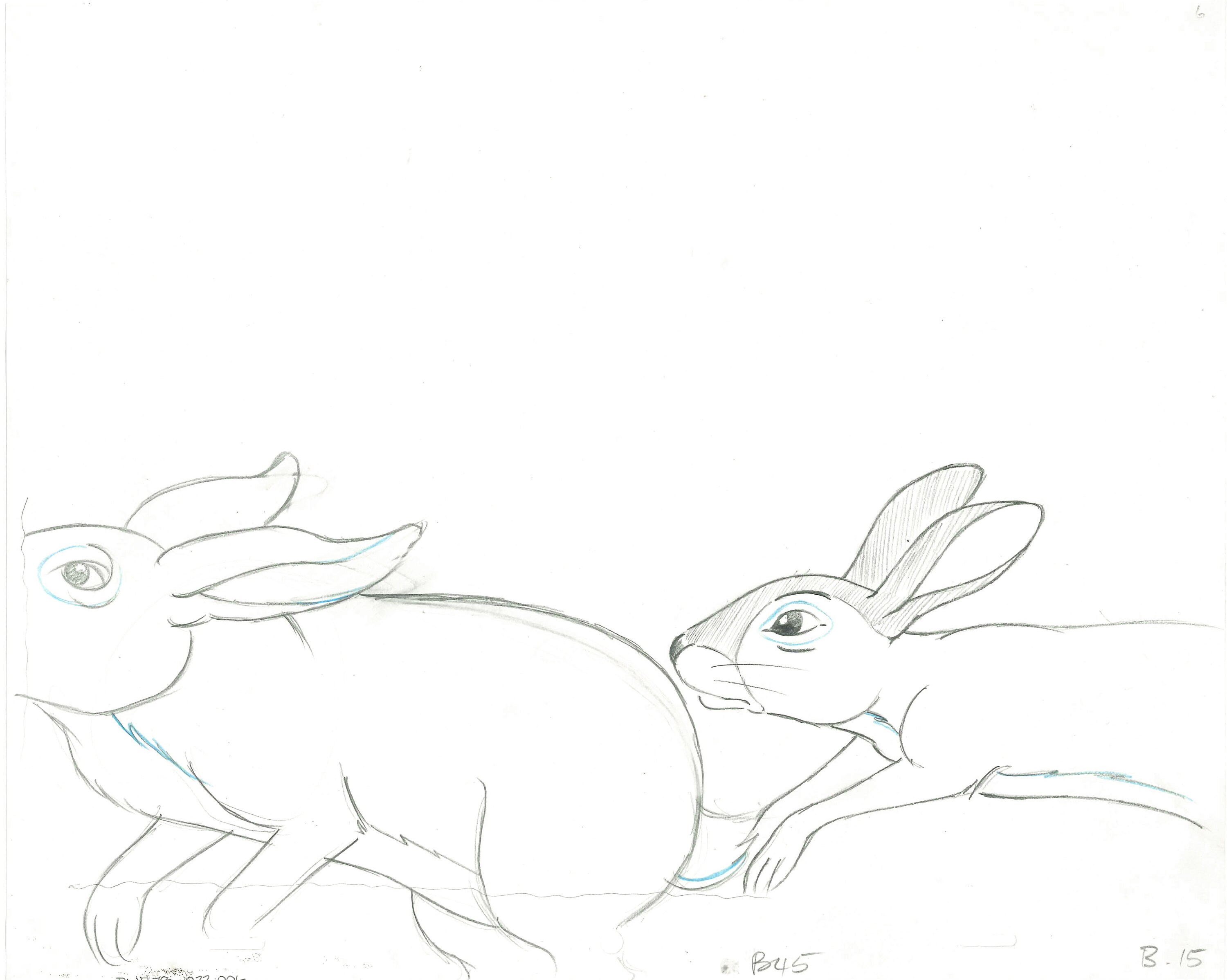 Watership Down 1978 Production Animation Cel Drawing With - Etsy