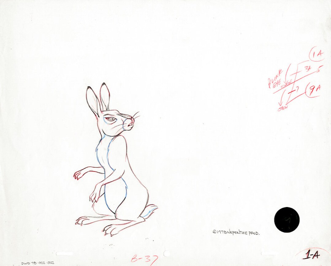 Watership Down 1978 Production Animation Cel Drawing With Linda Jones ...