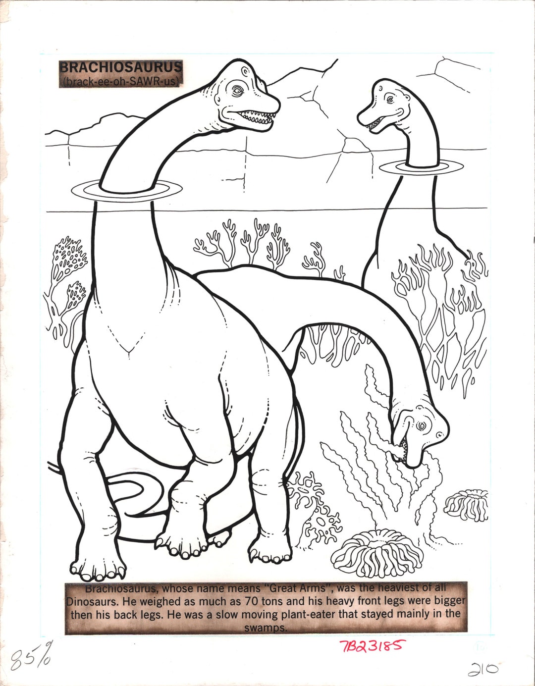 Dinosaurs Coloring Book Page Hand-inked Illustration Drawing From ...