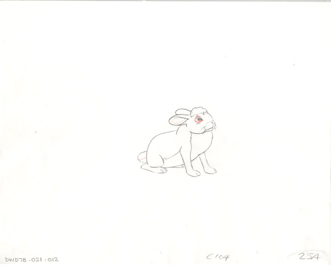 Watership Down 1978 Production Animation Cel Drawing With Linda Jones ...