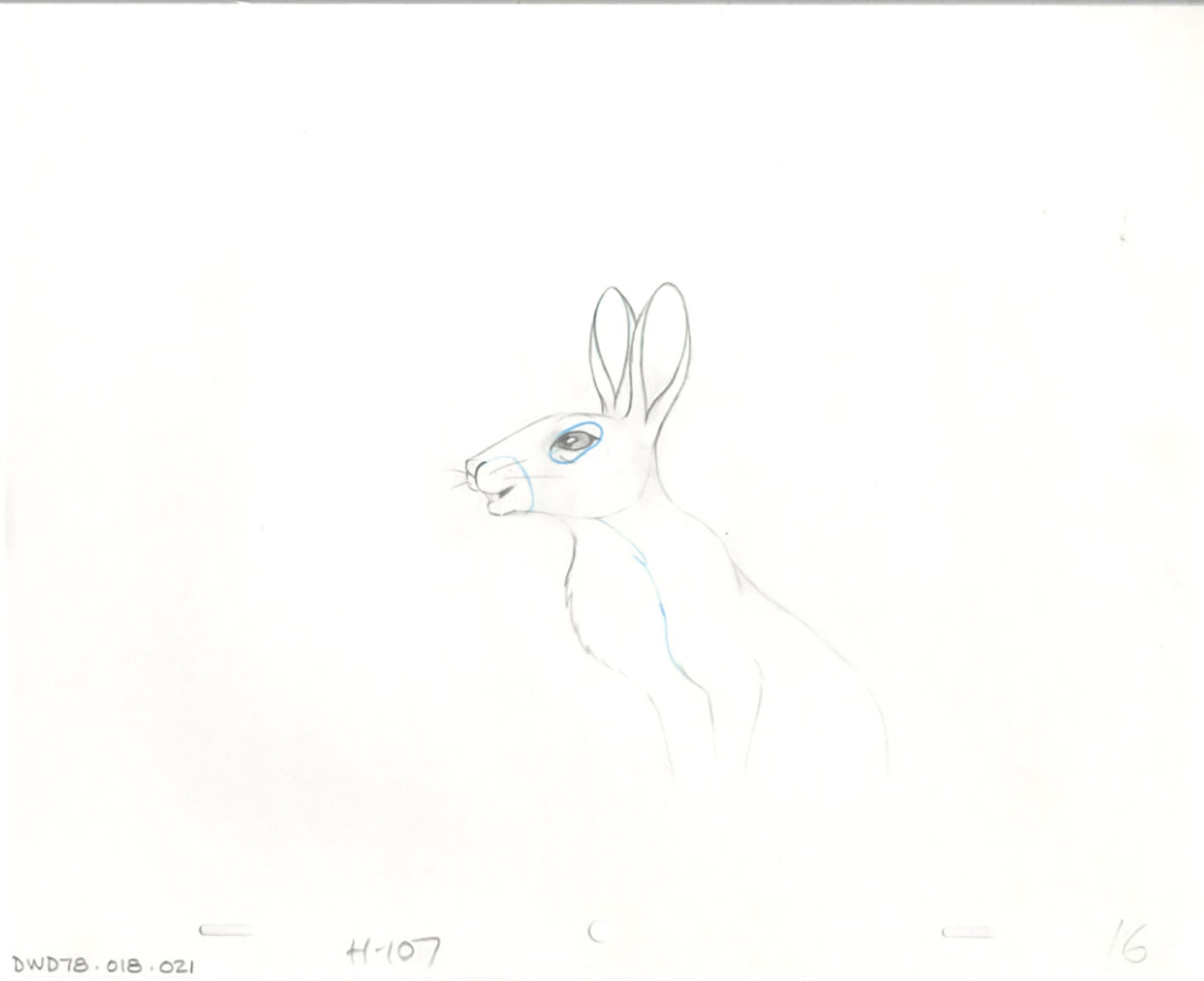 Watership Down 1978 Production Animation Cel Drawing With - Etsy