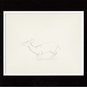 Walt Disney Rough Production Animation Cel Drawing or Study of a Deer ...