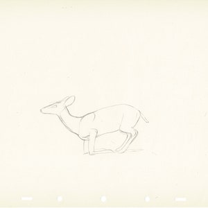 Walt Disney Rough Production Animation Cel Drawing or Study of a Deer ...