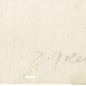 Ferngully Original Production Animation Cel Setup of Pips and Batty ...