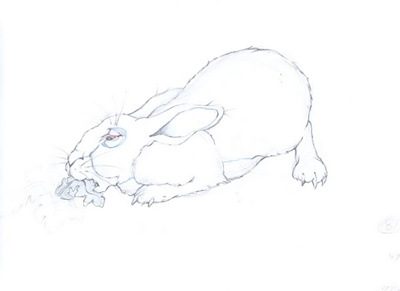 Watership Down 1978 Production Animation Cel Drawing With - Etsy